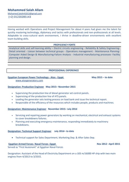 moatassem cv | PDF