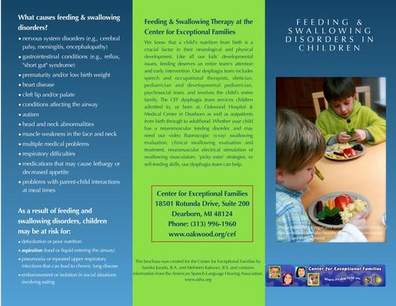 Group 21 similac brochure | PDF | Pregnancy | Reproductive Health