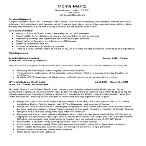 Morne Maritz CV | PDF