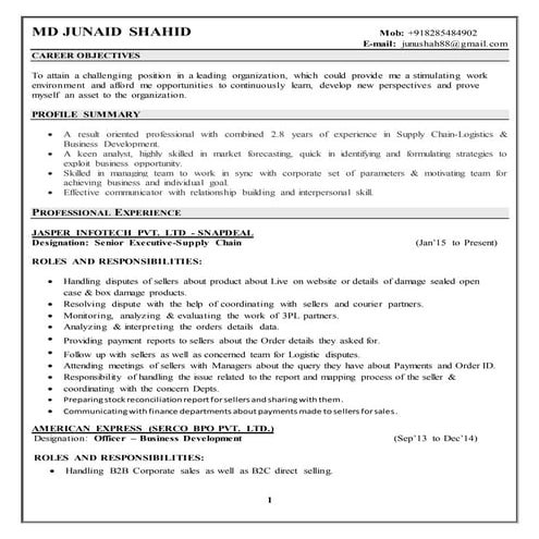 Chief Operating Officer Job Description | DOCX