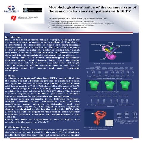 BPPV inner ear work HP | PPT | Ear, Nose and Throat Conditions ...