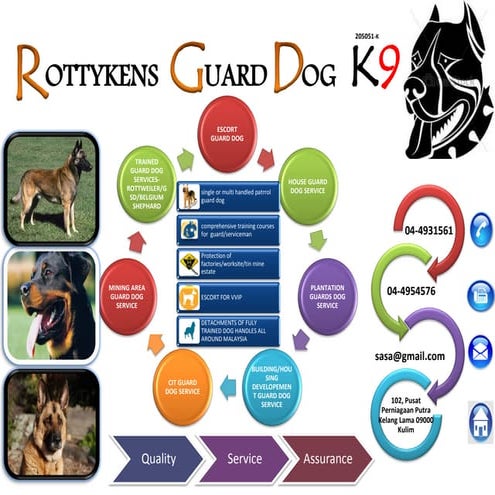 DOG UNIT | PDF