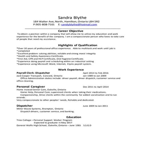 Sandy Blythe resume | DOCX