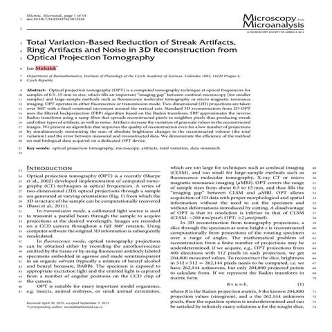 Total Variation Based Reduction Of Streak Artifacts Ring Artifacts And Noise In 3d