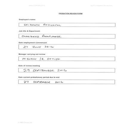 Probation Review | PDF