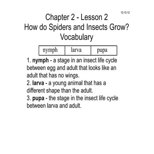 C2 l2 notes | PDF