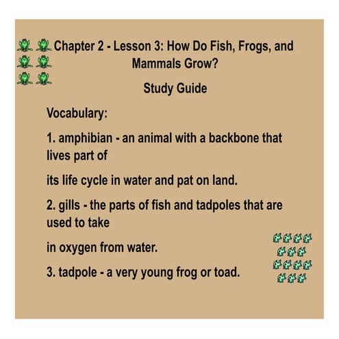 DRP ExeNo. 36 THE LIFE CYCLE OF FROGS.pptx