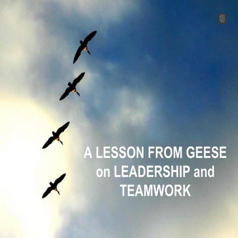 A lesson from_geese | PDF