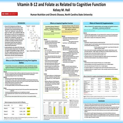 B Vitamins and Cognitive Function Research Poster | PDF