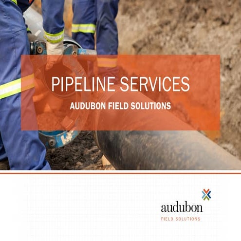 AFS Pipeline Solutions | PDF | Civil Engineering Industry | Industries