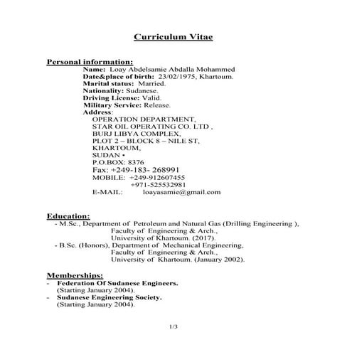 Professional CV | PDF