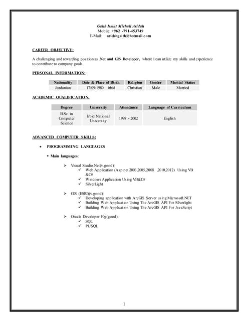 .NET Developer | PDF