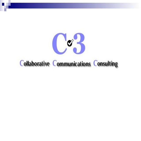 C3 Business Overview 2 | PPT