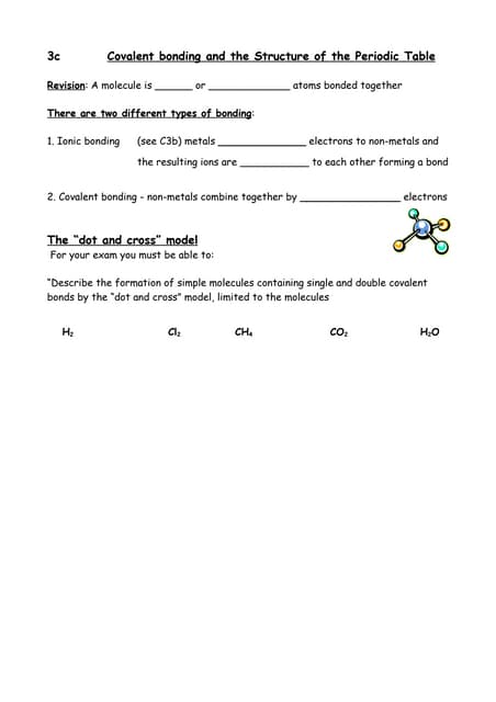 Bonding Activity | PDF