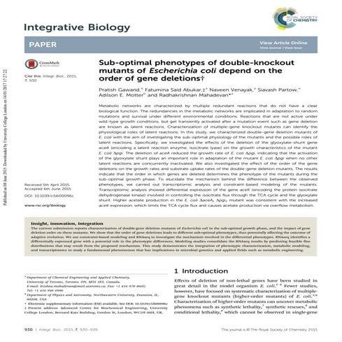 Sub-optimal phenotypes of double-knockout of E.coli