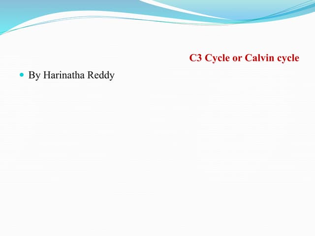 C3,C4 & CAM pathway | PPTX