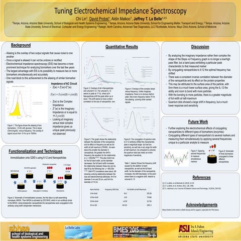 BMES2015 TEIS rev 4 (1) | PPT