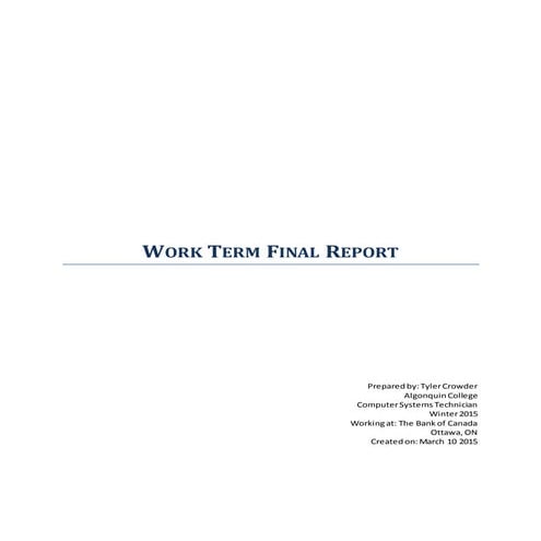 Work Term Final Report | DOCX
