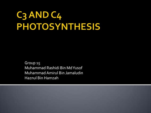 Photosynthesis | PPT