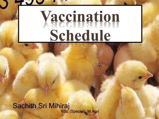 Vaccination in poultry | PPT