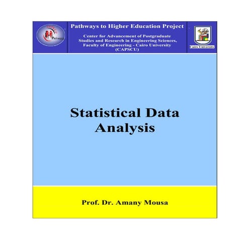 C4 1 Statitical Analysis | PDF