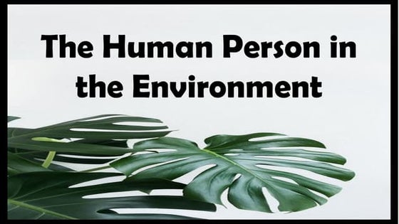 Lesson 4 the human person in the environment | PPTX