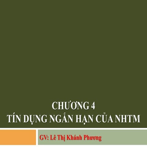C4 tin dung ngan han | PDF