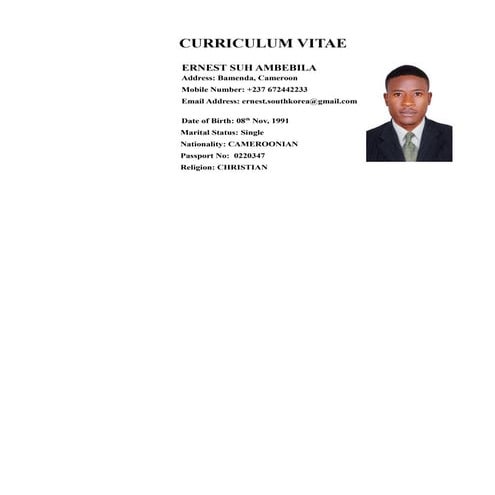 MY ENGINEERING CV | PDF