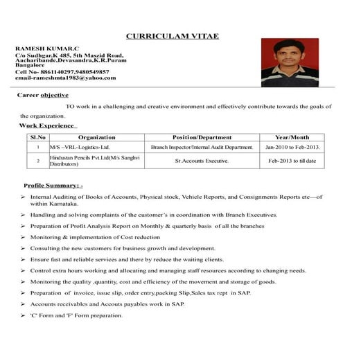 Ramesh updated CV | DOC