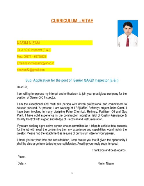 E&I inspector cv | DOC