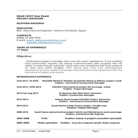 CV - Emad Fathi PM | PDF