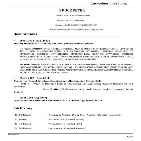 bruce cv | DOCX