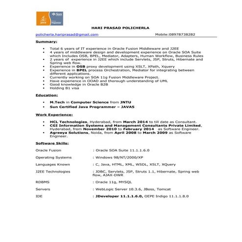 SOA Resume | DOCX
