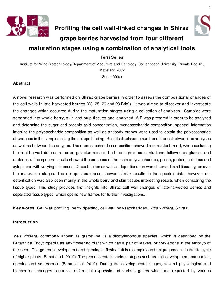Final Write Up final-write-up