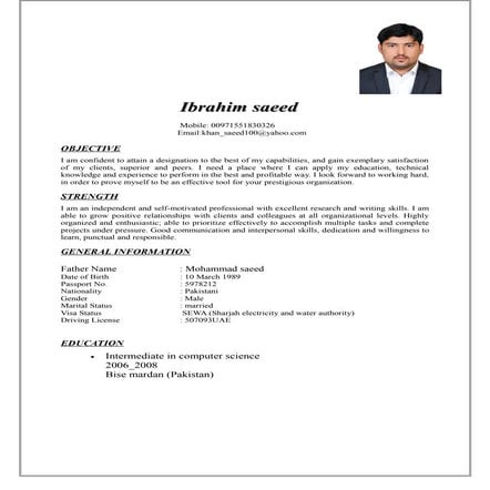 Ibrahim cv | DOC