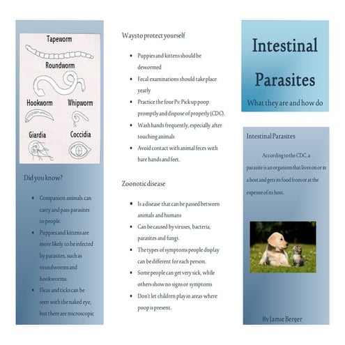 Brochure | DOCX | Infectious Diseases | Diseases and Conditions