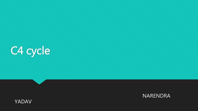 C3,C4 & CAM pathway | PPTX