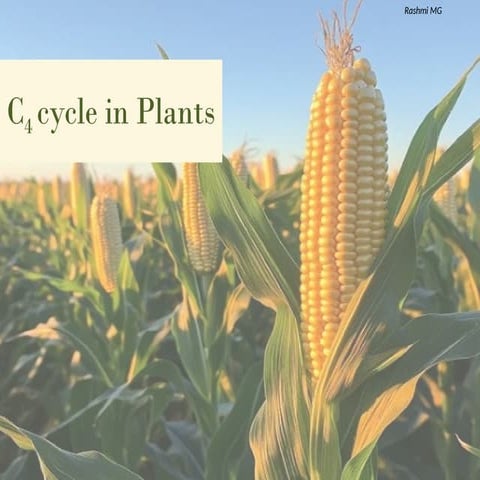 mnemonic code programming and study.pptx