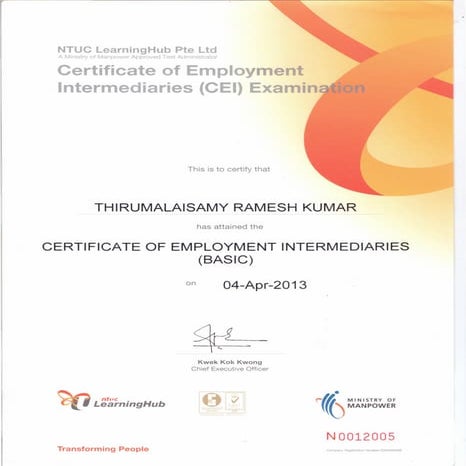 CEI Certificate | PDF