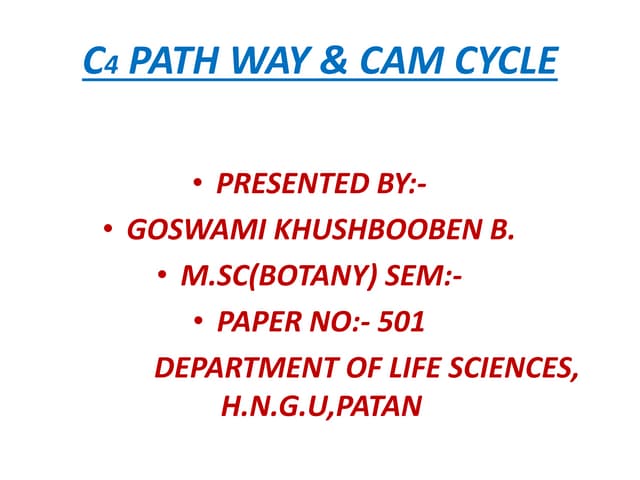 C3,C4 & CAM pathway | PPTX