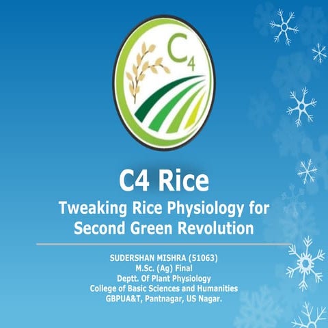 C4 rice - Tweaking Rice Physiology for Second green revolution | PPTX