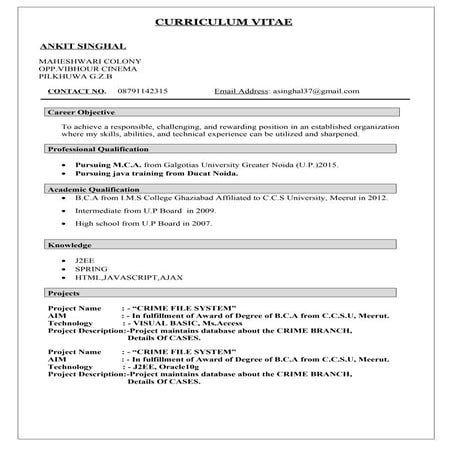 ankit cv | DOC | Business Administration | Business