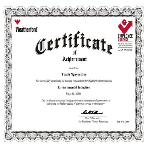 Environmental Induction | PDF