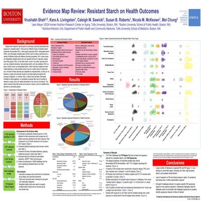 Practicum Poster | PPTX