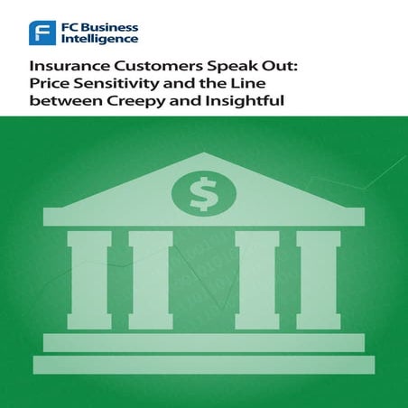 Insurance Consumer Data Report | PDF