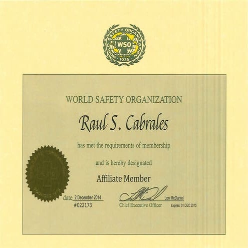 WSO Certificate | PDF