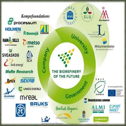 final Biorefinery | PPTX