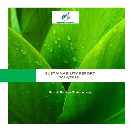 final_sustainability_report_09dec2015-8 | PDF