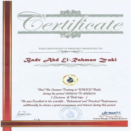 Petro Amir Training Certificate BadrAfandi | PDF