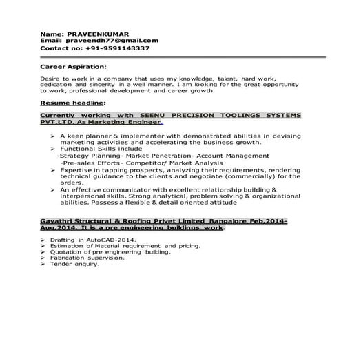 PDH CV | DOCX